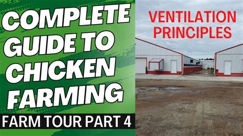 Broiler Ventilation At Crystal Frasher Blog