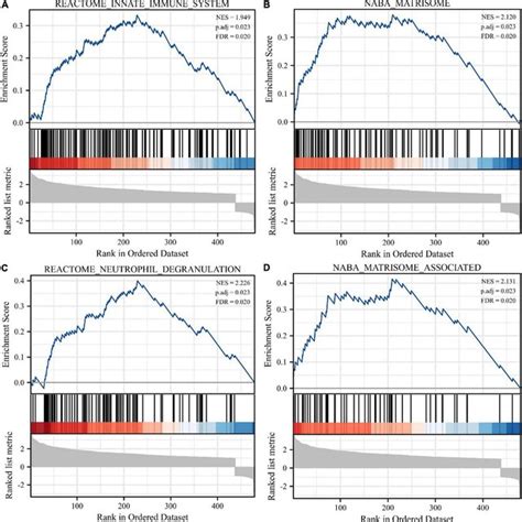 Enrichment Analyses Using Gene Set Enrichment Analysis Gsea Four