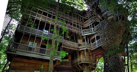 Worlds Largest Treehouse Imgur