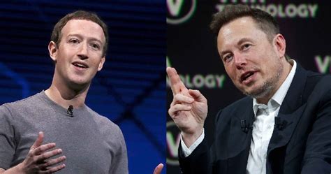 Elon Musk E Mark Zuckerberg Combinam Luta No Ringue Executive Digest