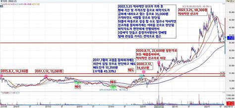 반도체 및 모바일 Pcb 세계1위 기업 심텍 주가전망 매매복기