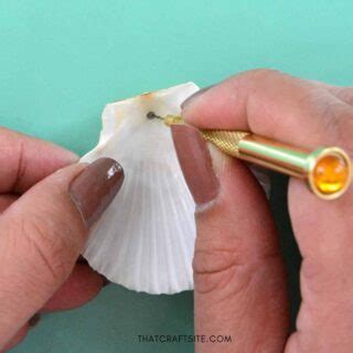 How To Make A Hole In A Seashell Without Breaking It
