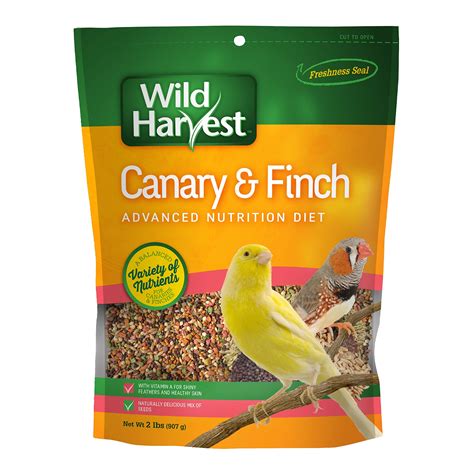 10 Best Finch Bird Food For Optimal Health And Nutrition Hummingbirds