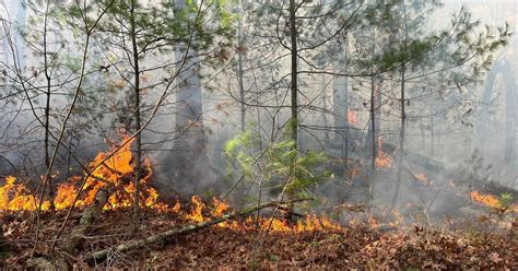 Red Flag Warning Means Massachusetts Brush Fires Are At High Risk Of