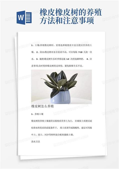 橡皮橡皮树的养殖方法和注意事项word模板下载编号qgeyrgba熊猫办公