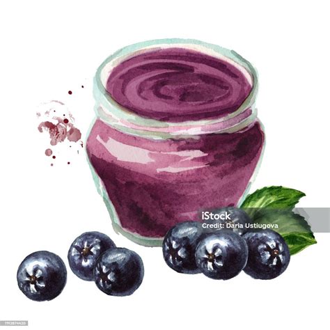 유기농 과일 잼 아로니아 마멀레이드와 신선한 아로니아 베리 또는 녹색 잎과 검은 초크 베리의 유리 항아리 흰색 배경에 격리 된 수채화 손으로 그린 그림 가루로 빻은에 대한