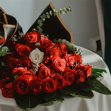 Red Rosy The Flower Chronicles