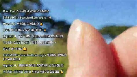 남산에서 번개실방 ~시간 지원 부탁요 🙇🙇‍♀️🙇‍♂️ Youtube