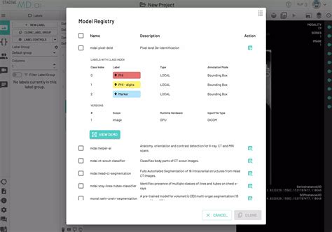 Model Registry Mdai Documentation