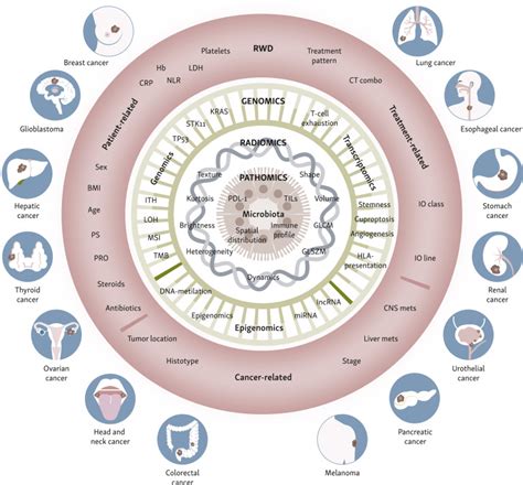Artificial Intelligence For Predictive Biomarker Discovery In Immuno Oncology A Systematic