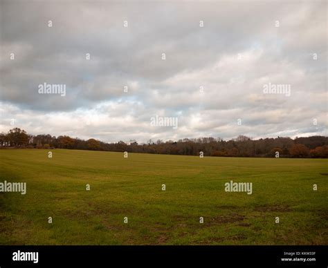 Empty Grass Land Plain Country No People Green Cloudy Sky Essex