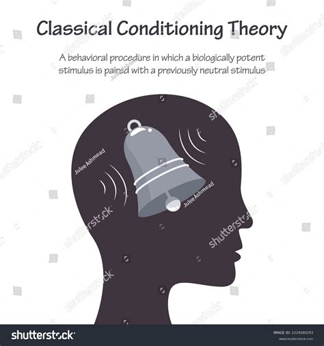 Classical Conditioning Theory Educational Vector Infographic Stock