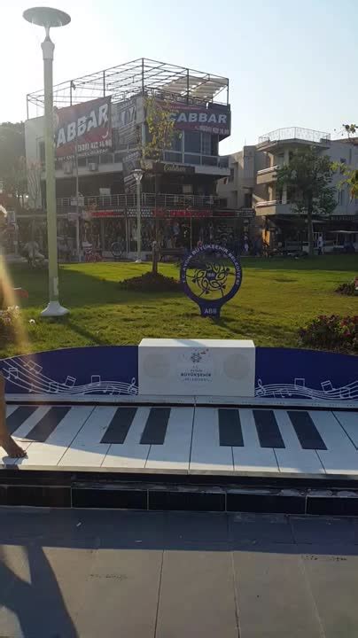 Sevda Tekin Posted On Linkedin