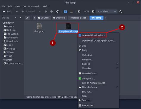 Tryhackme Wiresharktraffic Analysis Task 5 Tunneling Traffic Dns