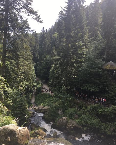 Schwarzwaldbahn Erlebnispfad