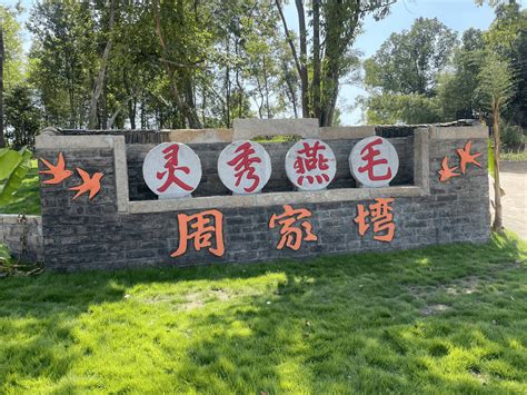 浠水燕毛咀村：村民共谋聚同心，缔造美好新家园闵瑜环境村里