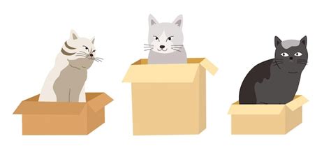 Premium Vector Cat In Box Cats Sitting In Cardboard Box