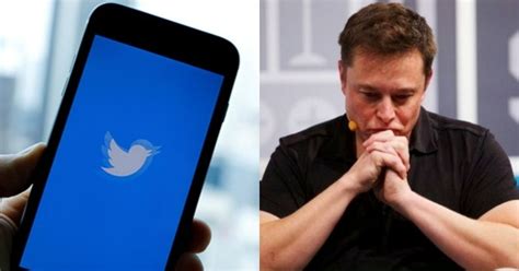 Twitter Asks Dozens Of Laid Off Staff To Return Says They Got Fired By Mistake
