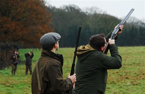 Arley Shoot Cheshire Availability On Gunsonpegs