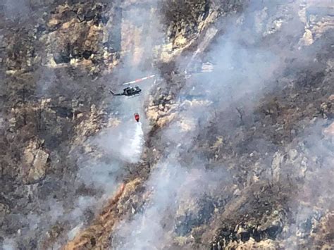 Incendios Consumen Hectáreas De Bosque En Ocho Departamentos
