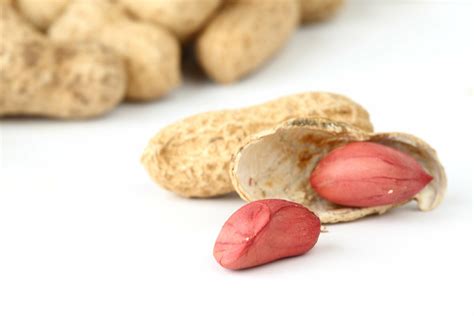 What Seeds Do Birds Eat 15 Best Seeds Listed 2025