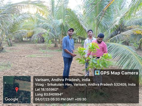 Harikrishna Choppa On Linkedin Coconut