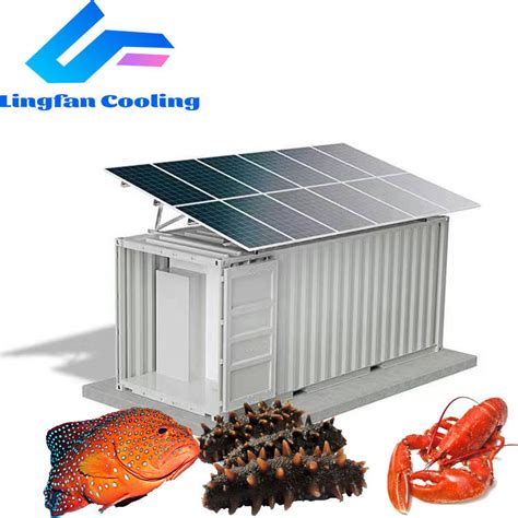 Freezer Cold Storage Room Container Solar Powered Cold Storage Room For
