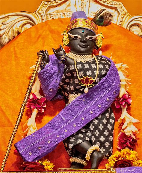 Aulai Sandarshan On 1 March 2025 Radharaman Vrindavan Chandangoswami