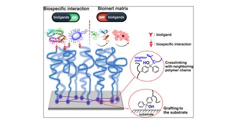 High Antifouling Polymer Brush Coatings On Nonpolar Surfaces Via Adsorption Cross Linking