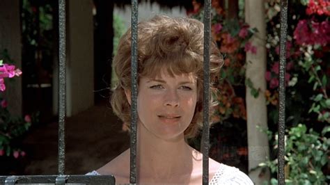 The Domino Principle Blu Ray The Domino Killings