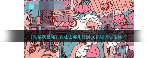 动脑我最强猫咪去哪儿攻略 找到30只猫怎么过关3dm手游