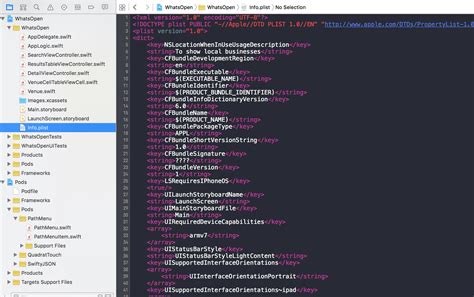 Ios How To Update Infoplist With Code Stack Overflow