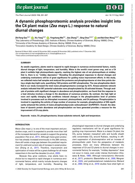Pdf A Dynamic Phosphoproteomic Analysis Provides Insight Into The C4 Plant Maize Zea Mays L