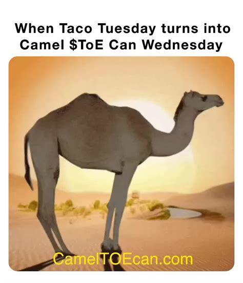 When Taco Tuesday Turns Into Camel Toe Can Wednesday