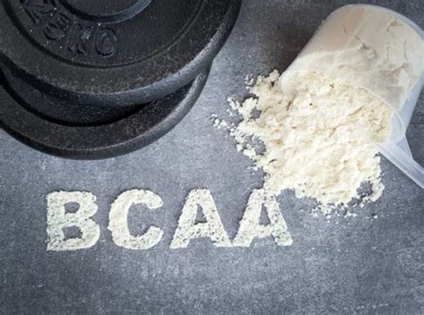 Bcaas How Does The Essential Amino Acids In Bcaas Fuel Muscle Growth