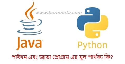 পাইথন এবং জাভা প্রোগ্রাম এর মূল পার্থক্য কি কোনটার চাহিদা বেশি