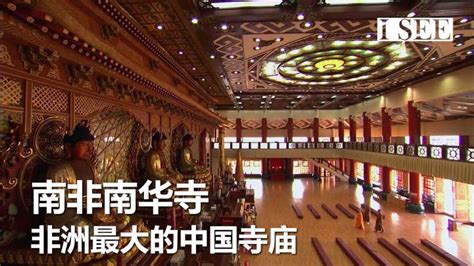 非洲南非有一座大到震撼的中国寺庙一位女方丈普渡黑人众生 文化 宗教 好看视频