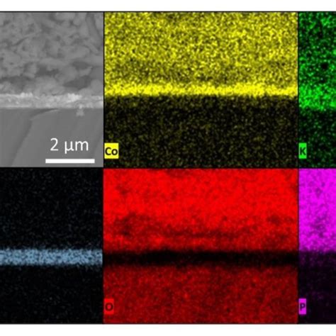 Cross Section Semedx Mapping Of Coh2o2 B2p2o8oh2 •h2o Cobp On