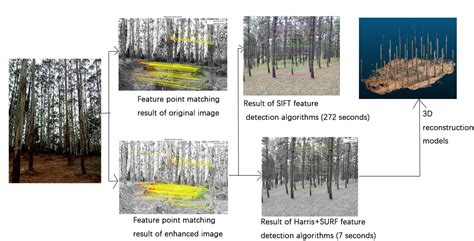 Remote Sensing Free Full Text Forest 3d Reconstruction And