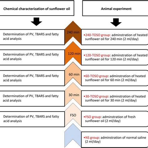 Flowchart Of The Experimental Design Download Scientific Diagram