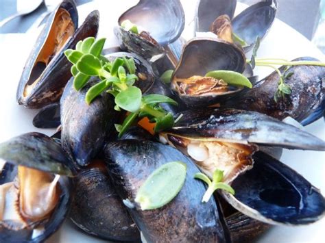 Moules Marinières Opskrift Blåmusling Hjemmelavede pommes frites