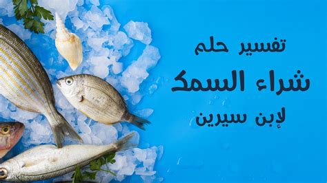 تفسير رؤية حلم شراء السمك في المنام في الخير والشر Youtube