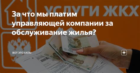 За что мы платим управляющей компании за обслуживание жилья Вот это ХАТА Дзен