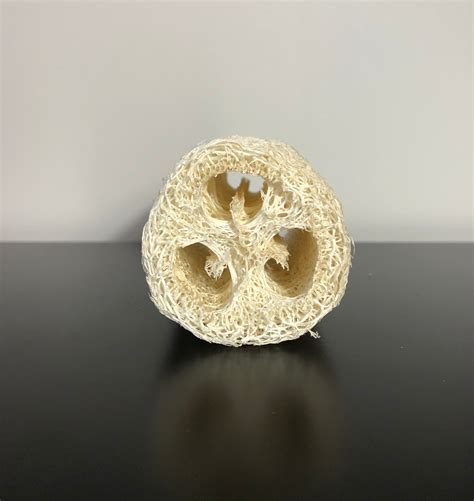 Natural Loofah Etsy