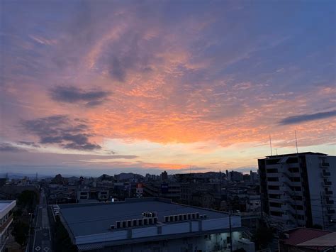 自炊生活を楽しむ じいじの家庭菜園日記