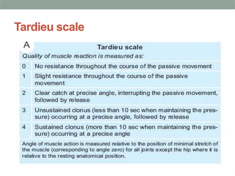 Pathophysiology Of Spasticity