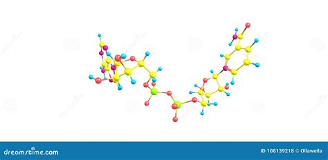 Nicotinamide Adenine Dinucleotide Molecular Structure Isolated On White