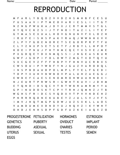 Reproduction Word Search Wordmint