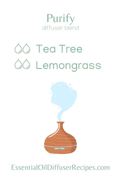 10 Essential Oil Diffuser Blends For Bad Odors • Essential Oil Diffuser