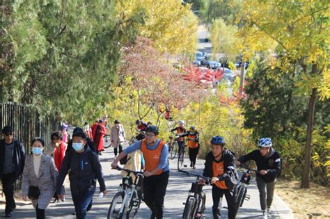 索信达 合力造车及骑行雁栖主题团建 金智团建